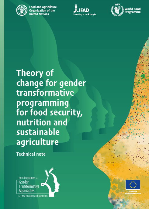 Theory of change for gender transformative programming for food security, nutrition and ...